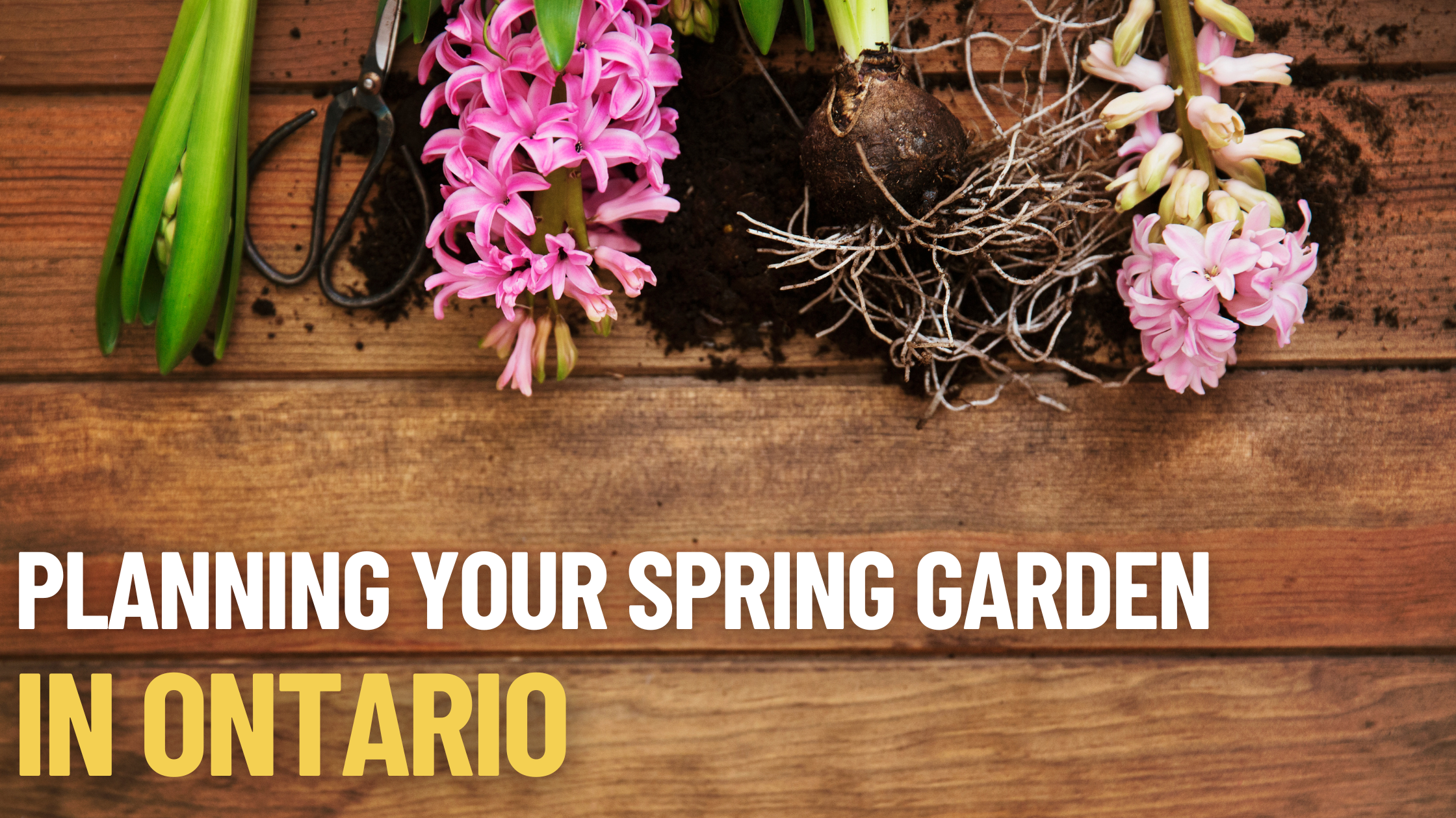Planning Your Garden For Spring In Ontario – Cedar Planters Canada