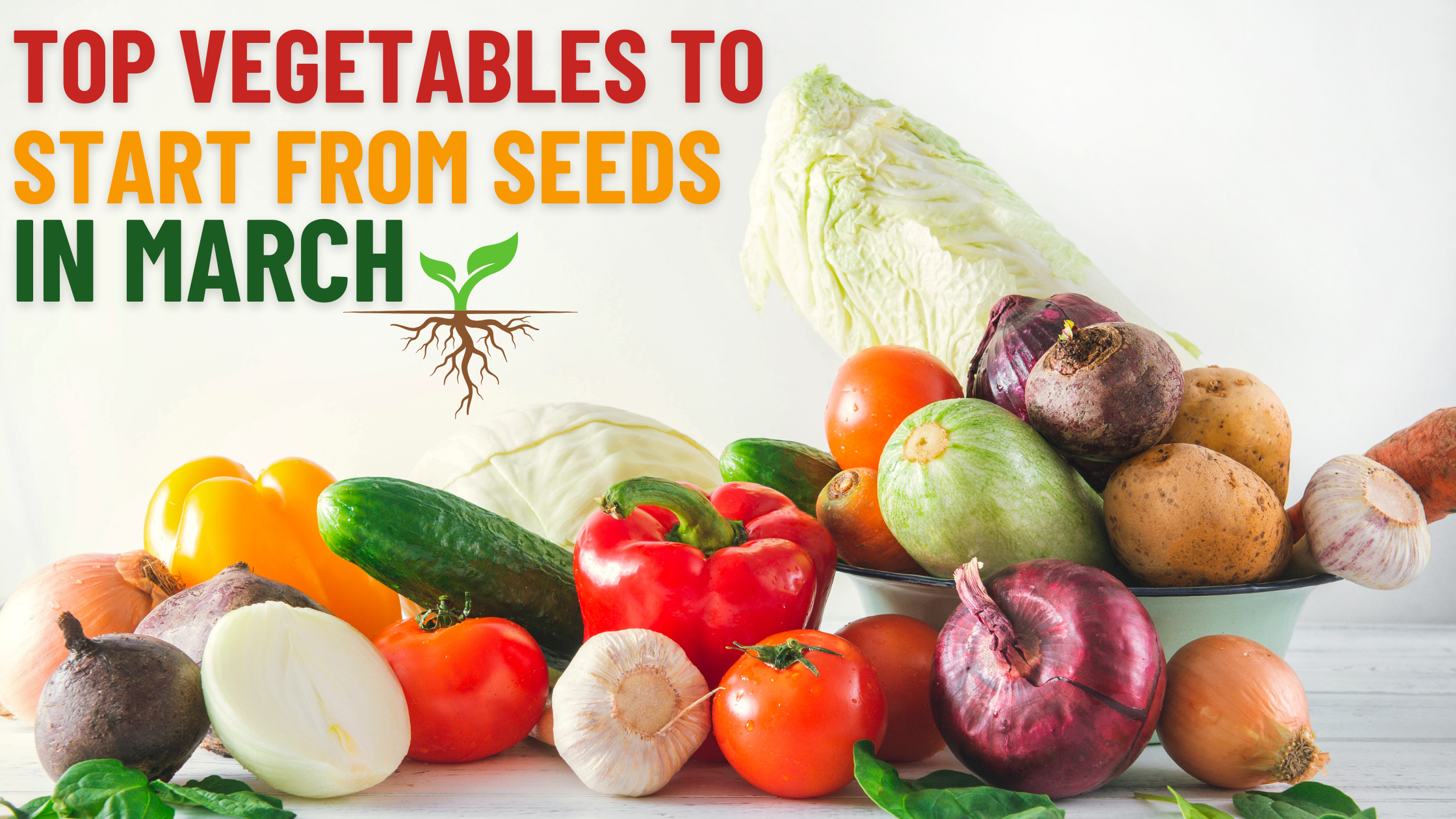 Best Vegetables to Grow from Seeds in March – Cedar Planters Canada