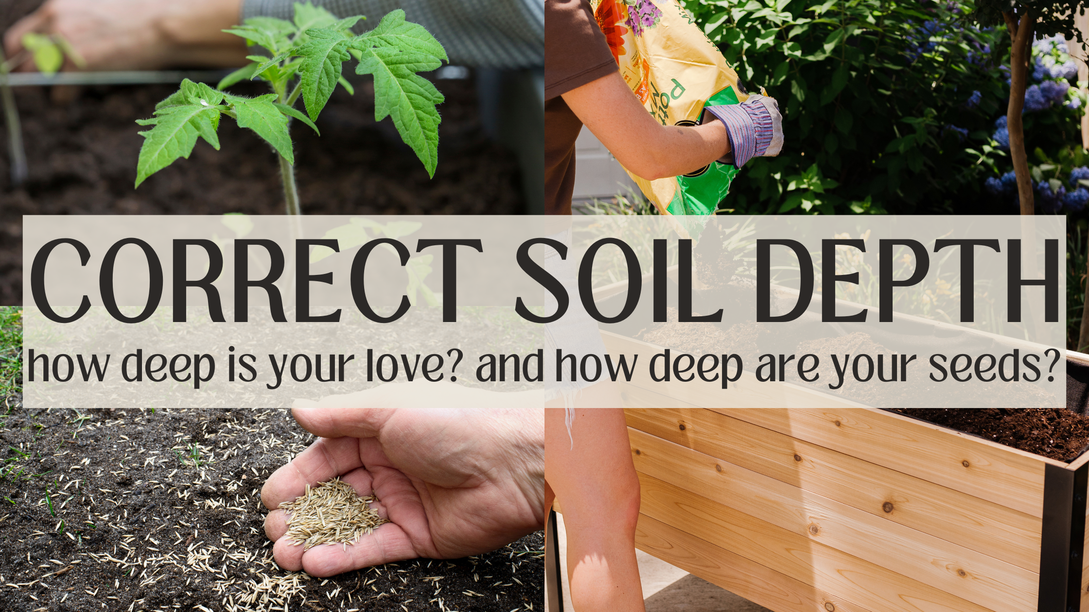 Soil Depth for Planting: Guide to Root Requirements – Cedar Planters Canada