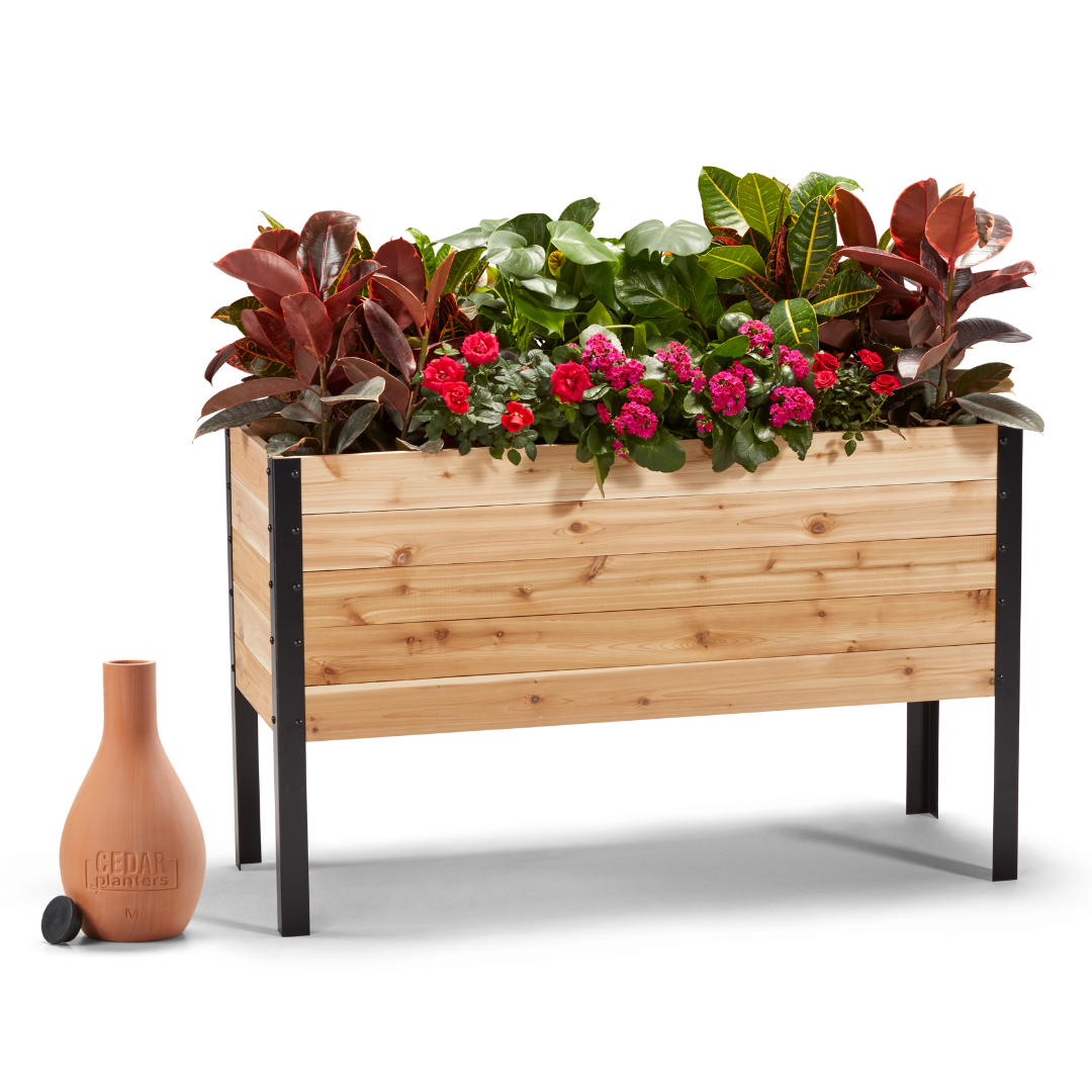 Cedar Planter Bundles | Complete Raised Garden Sets – Cedar Planters Canada